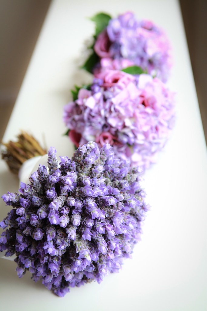 Lavender--The Ultimate Guide