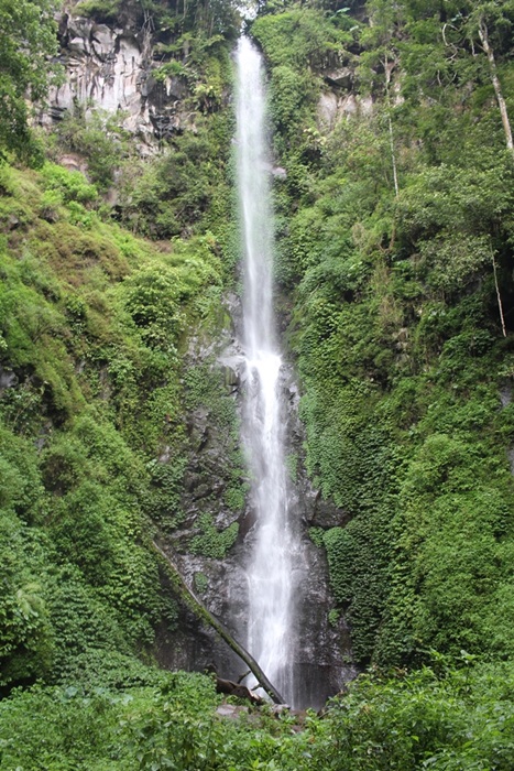 Coban Rais: Jalan Ekstrim Menuju Air Terjun