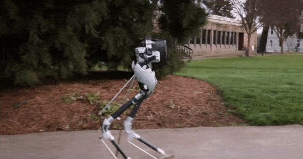 Meet Cassie, the crouching 'ostrich' robot that could soon be ...