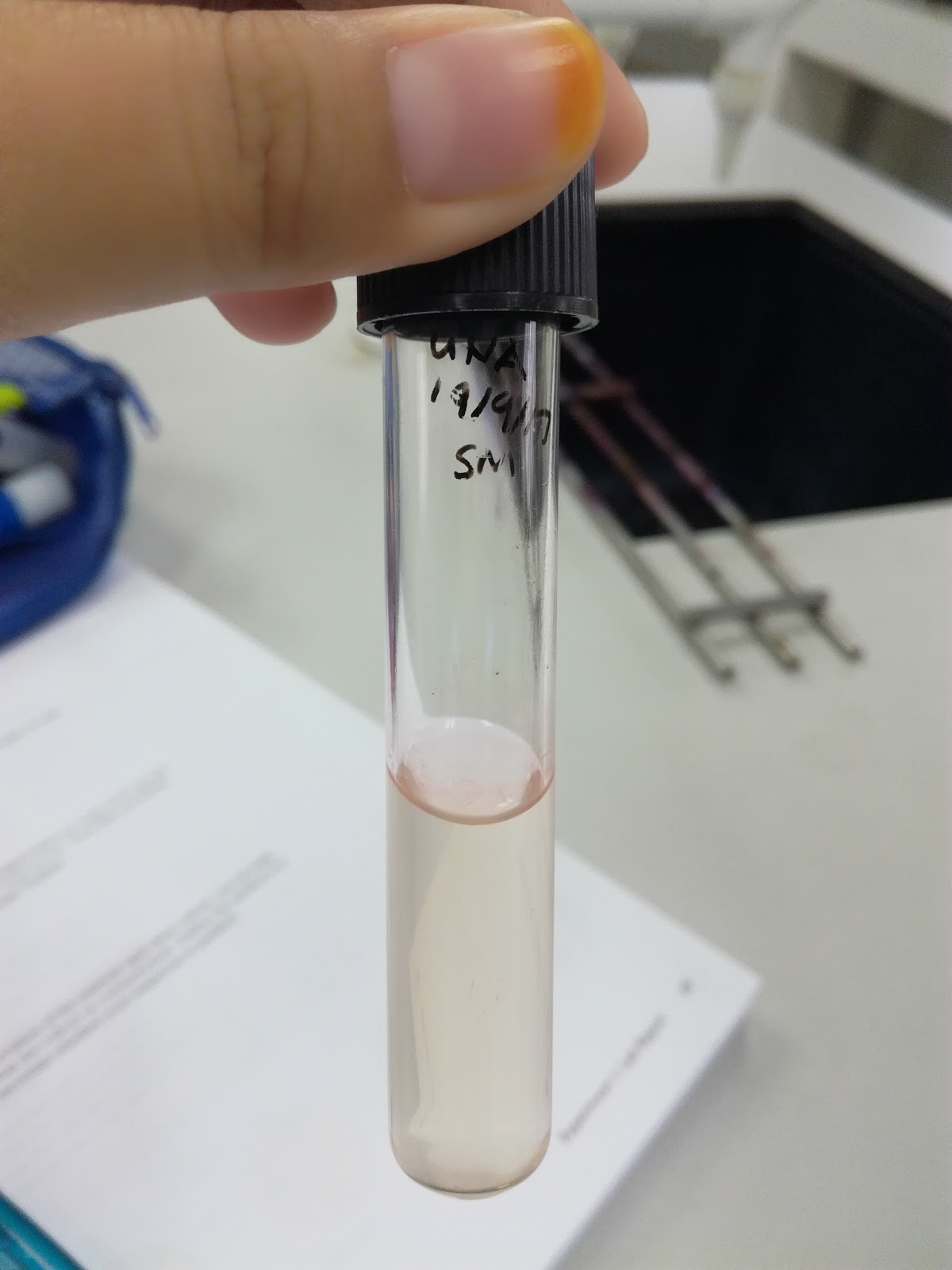 THE FIRST EXPERIMENT