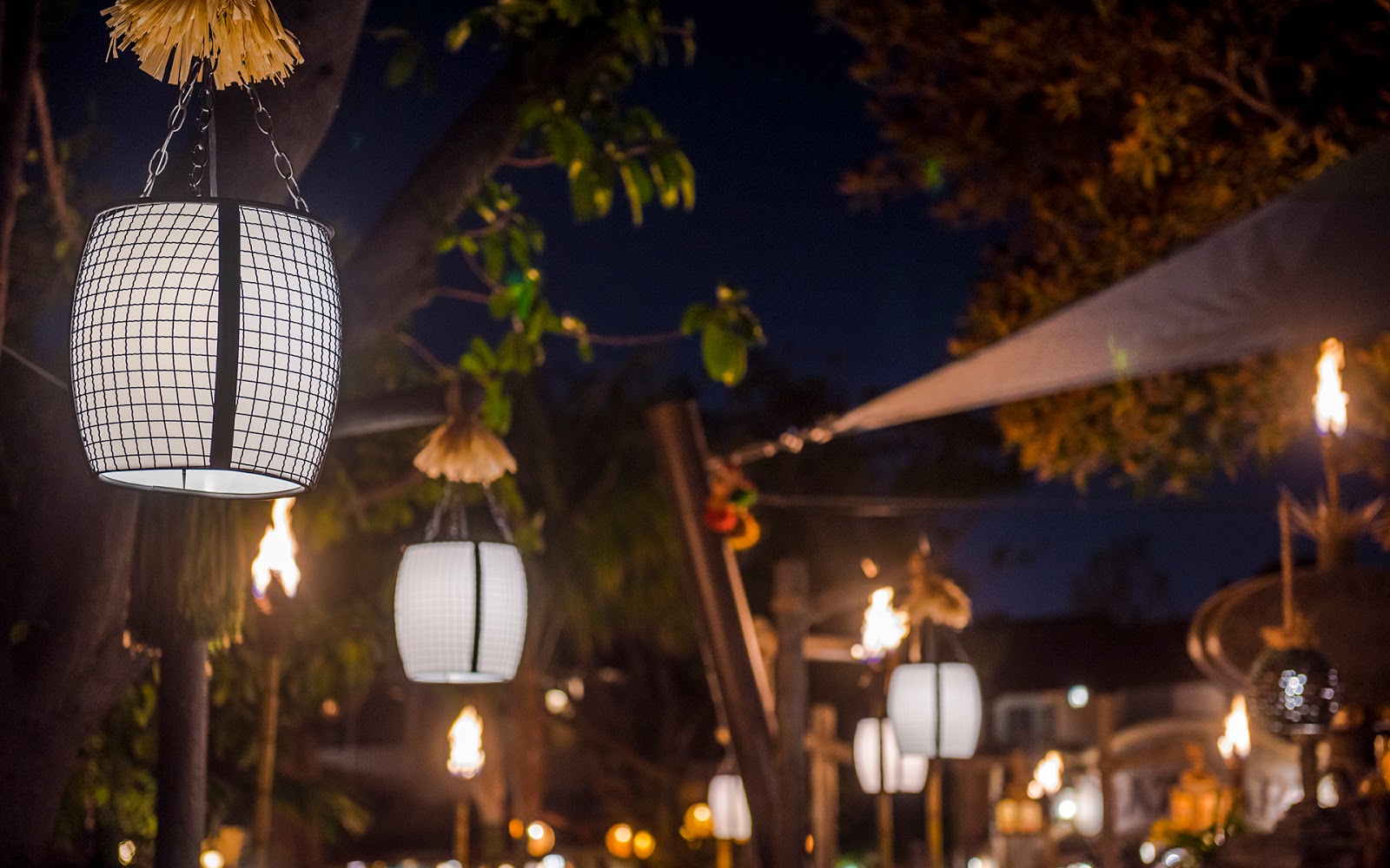 The Tropical Hideaway