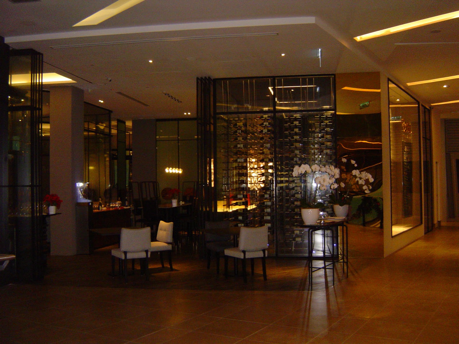 Brian's Eats and Travels: Soleil in DC Mall - excellent food, but is ...