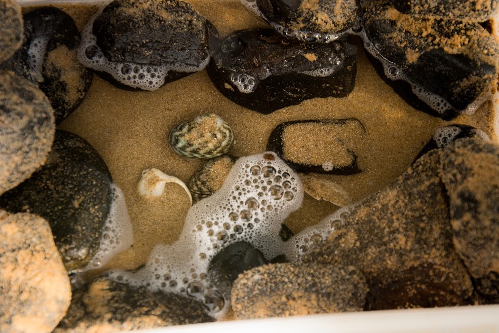 Squiggles and Bubbles: Create Your Own Rockpool {Baby Sensory Play}