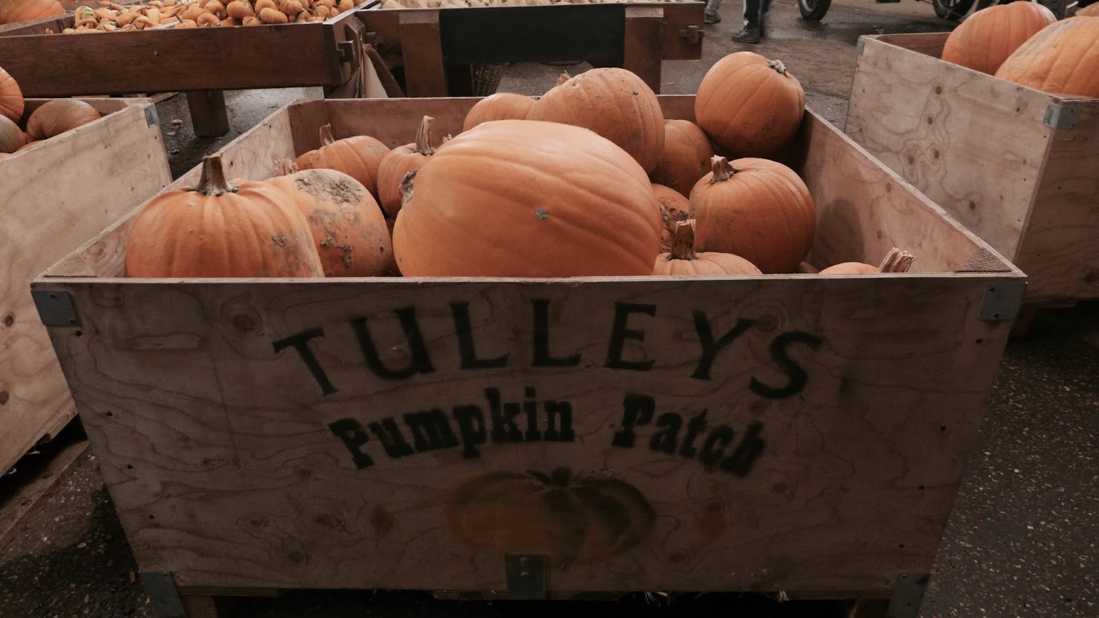 Attraction Review - Tulley's ShocktoberFest | Cupcakes and Coasters