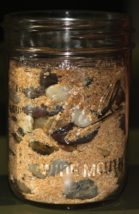 Glass Jar Full Of Rocks