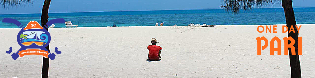 Paket Wisata Satu Hari Open Trip Pulau Pari Tiap Sabtu & Minggu ...