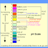David Dold San Diego: Vinegar in the Wash