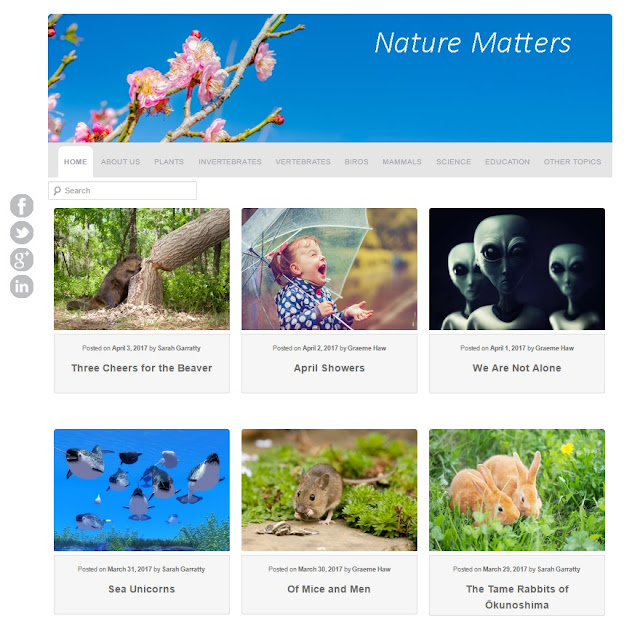 Learning the Fun Way with Education Quizzes (AD)