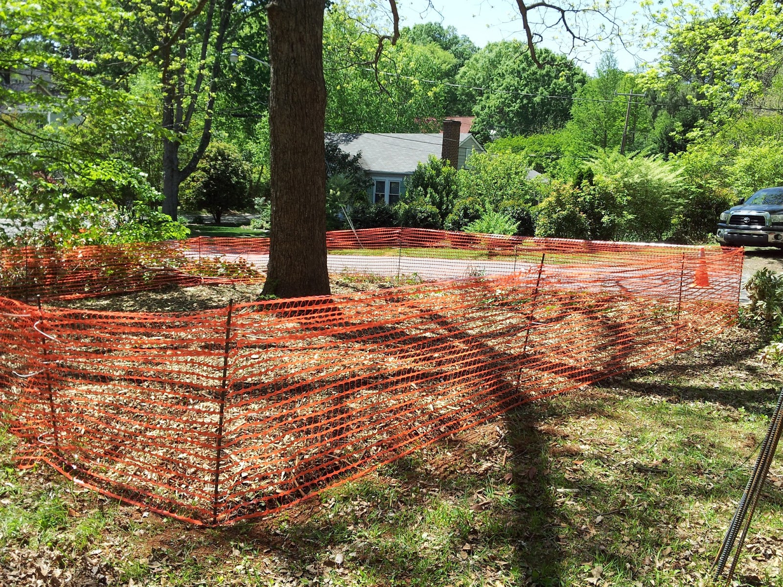 The Wandering Arborist: Protect the Zone