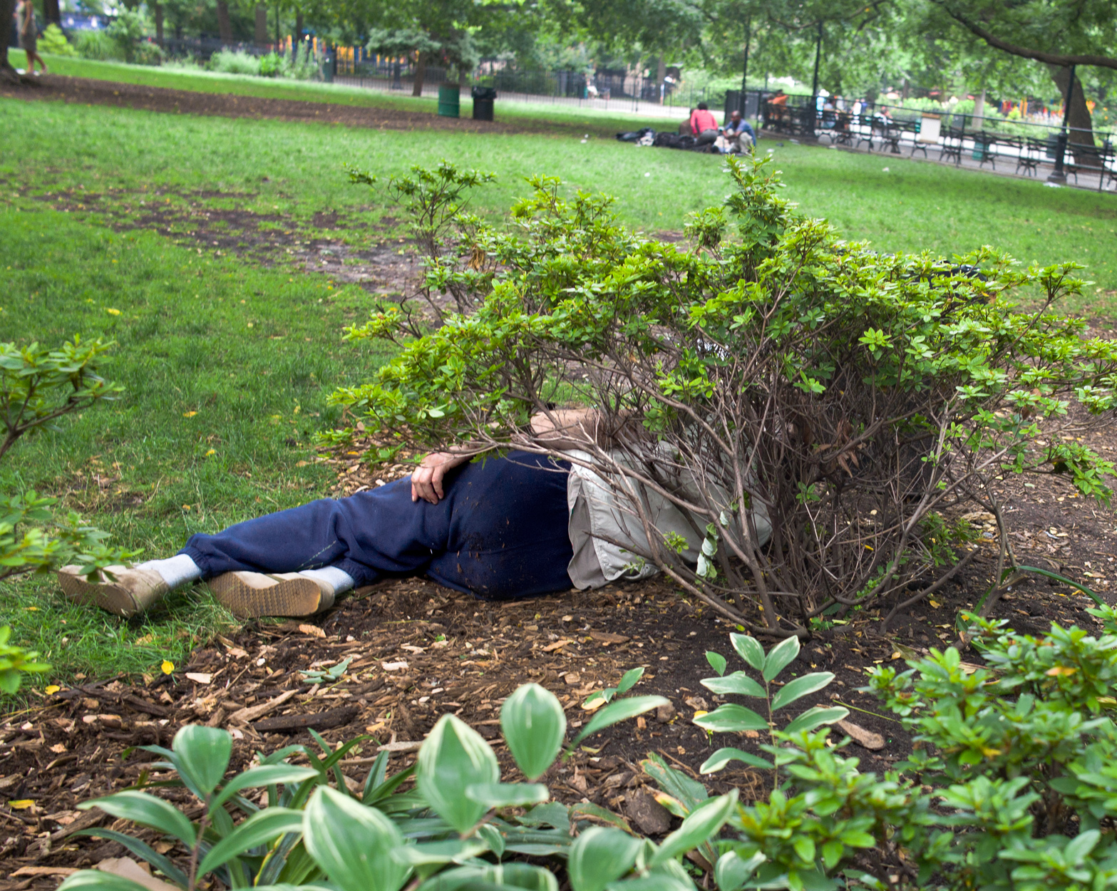 Neither more nor less: Man Falls Over Into Bush Thursday Afternoon in ...