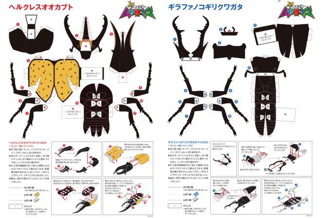Papercraft Beetle Side View