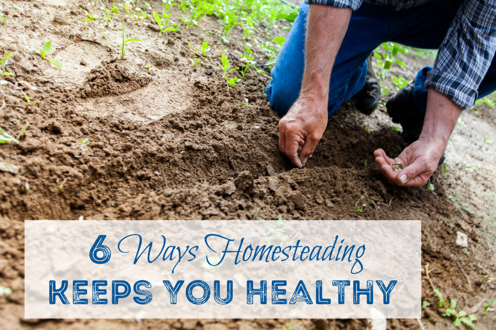 6 Ways Homesteading Keeps You Healthy - Oak Hill Homestead