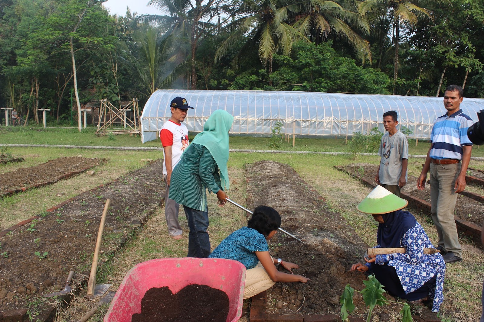 Pelatihan Penanaman Organik untuk Masyarakat ~ Ingkung Kuali