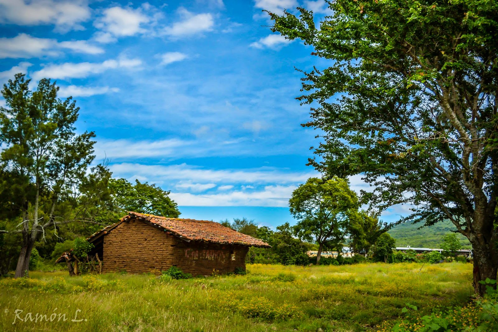 Jaime Ramos Méndez: Paisaje rural en Las Adjuntas, municipio de ...