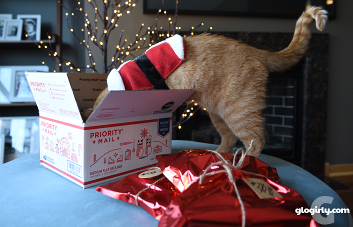 GLOGIRLY: Secret Santa Kitty-Style