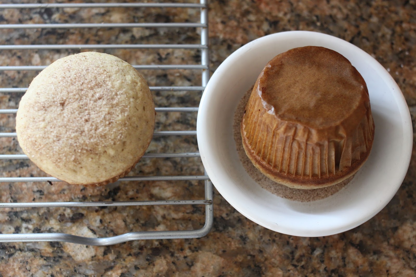 Cinnamon Sugar Applesauce Muffins | The Larson Lingo | Bloglovin’