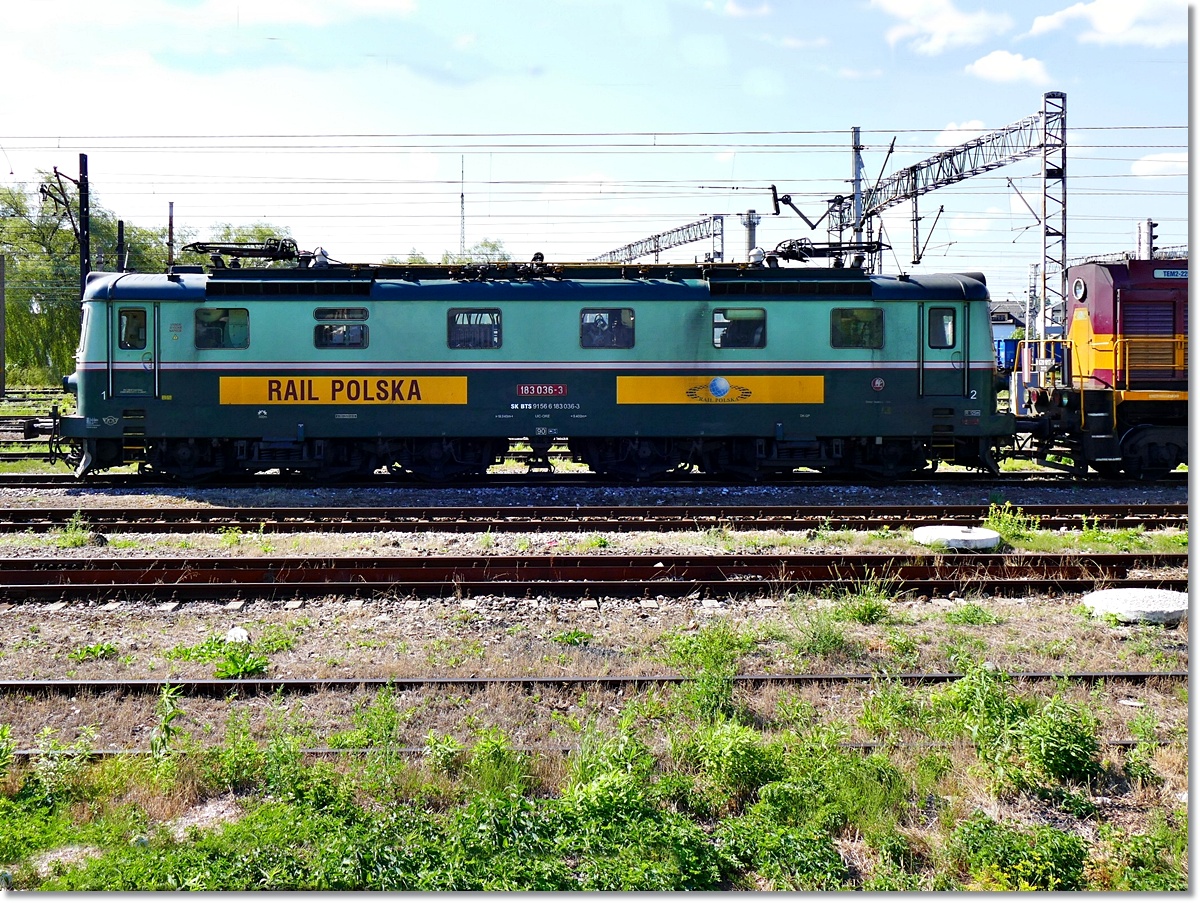 Rail Polska 183 036 + TEM2-225 na stacji Kielce Herbskie | Kolejowe Kielce