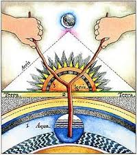 Rabdomancia / Radiestecia