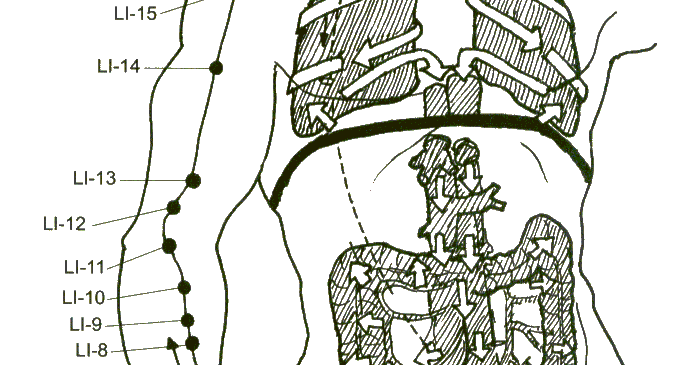 Large intestine meridian