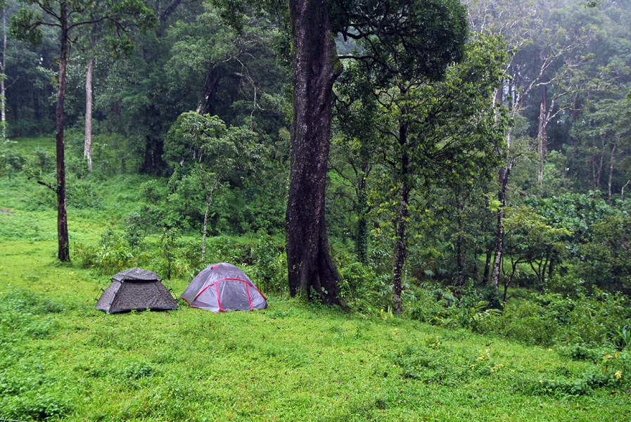 Gavi - (Eco-Tourism) Town of Kerala