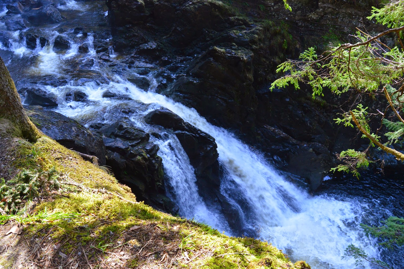 John and CJ's Scotland Adventure: Girls trip to Inverness
