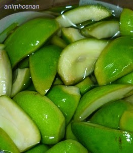 Petak Semai: MANGGA TELUR