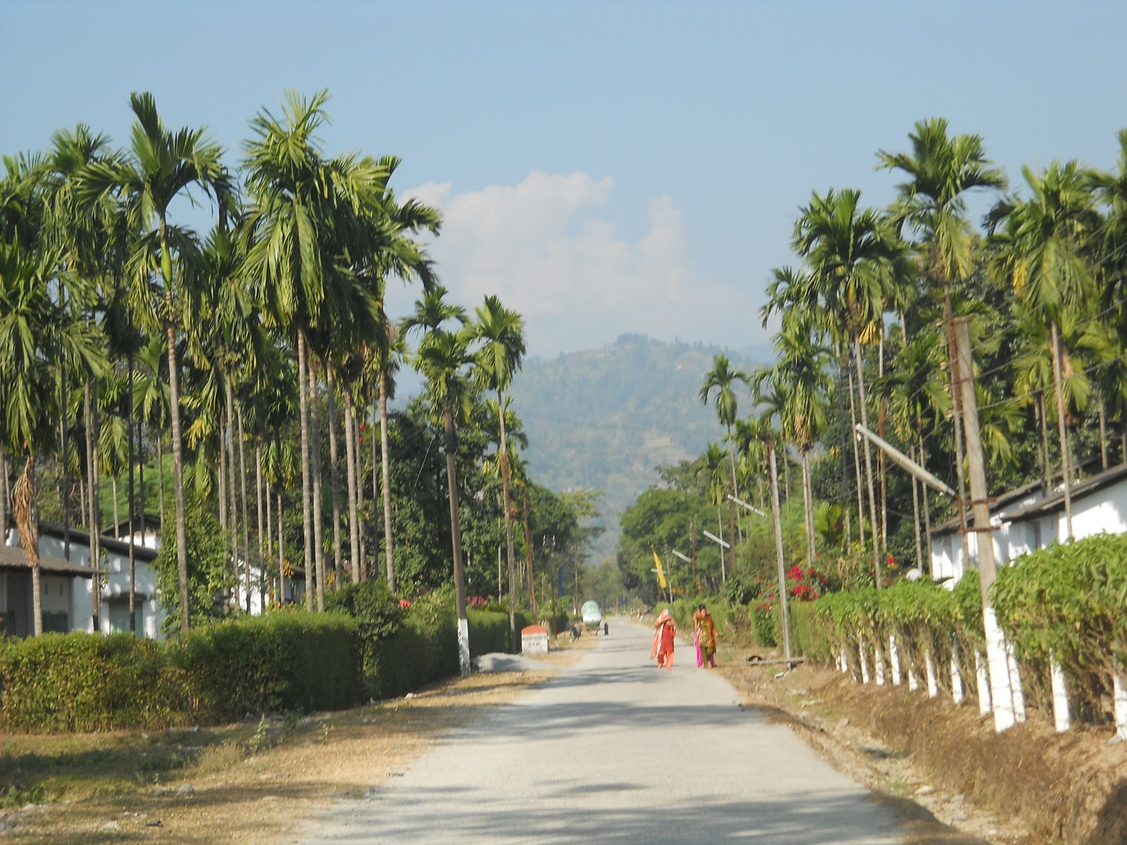 Pariwar Eco & Tea Tourism in Dooars