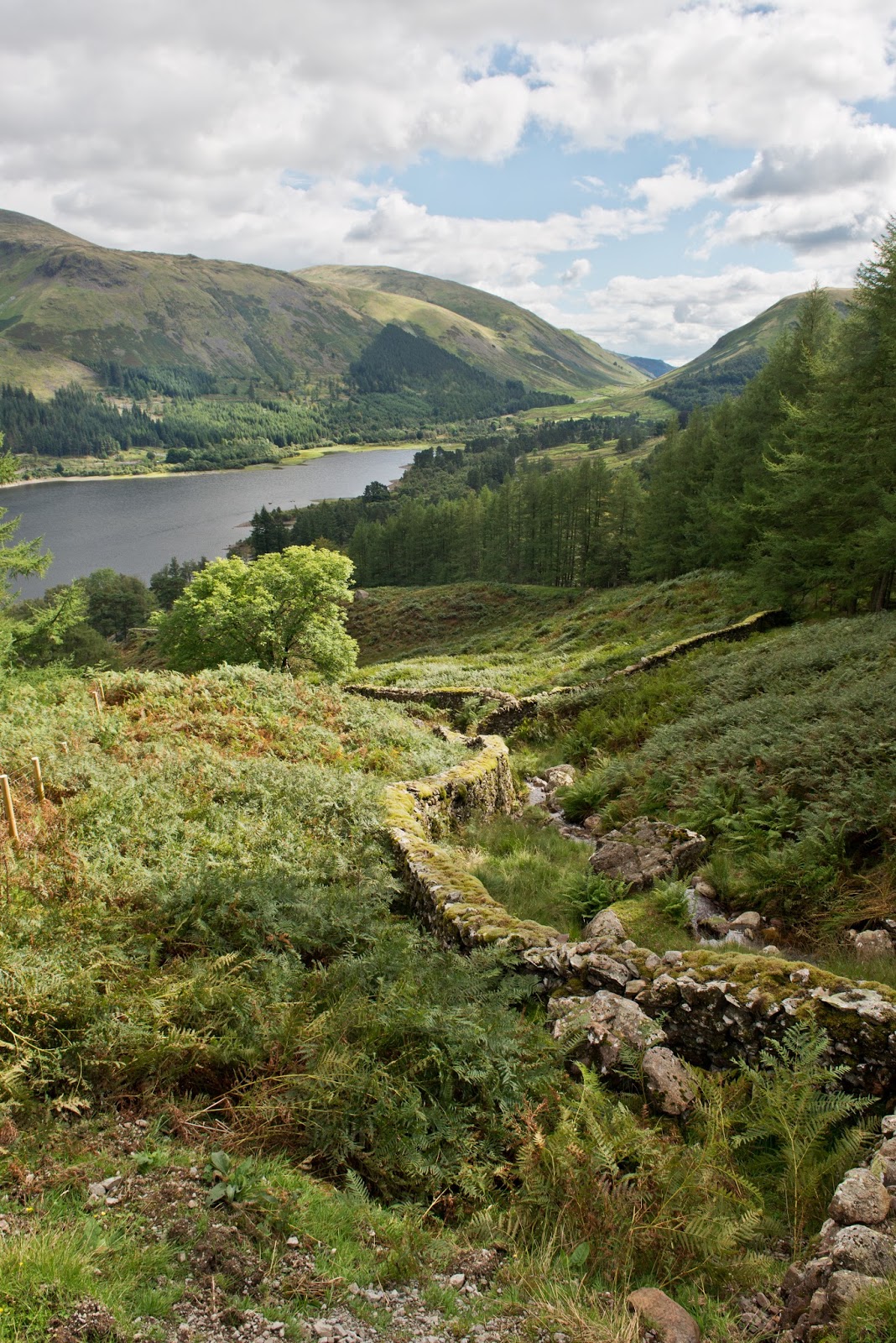 Wigtwizzle - Norman Smith's Travel Blog.: Harrop Tarn and Thirlmere