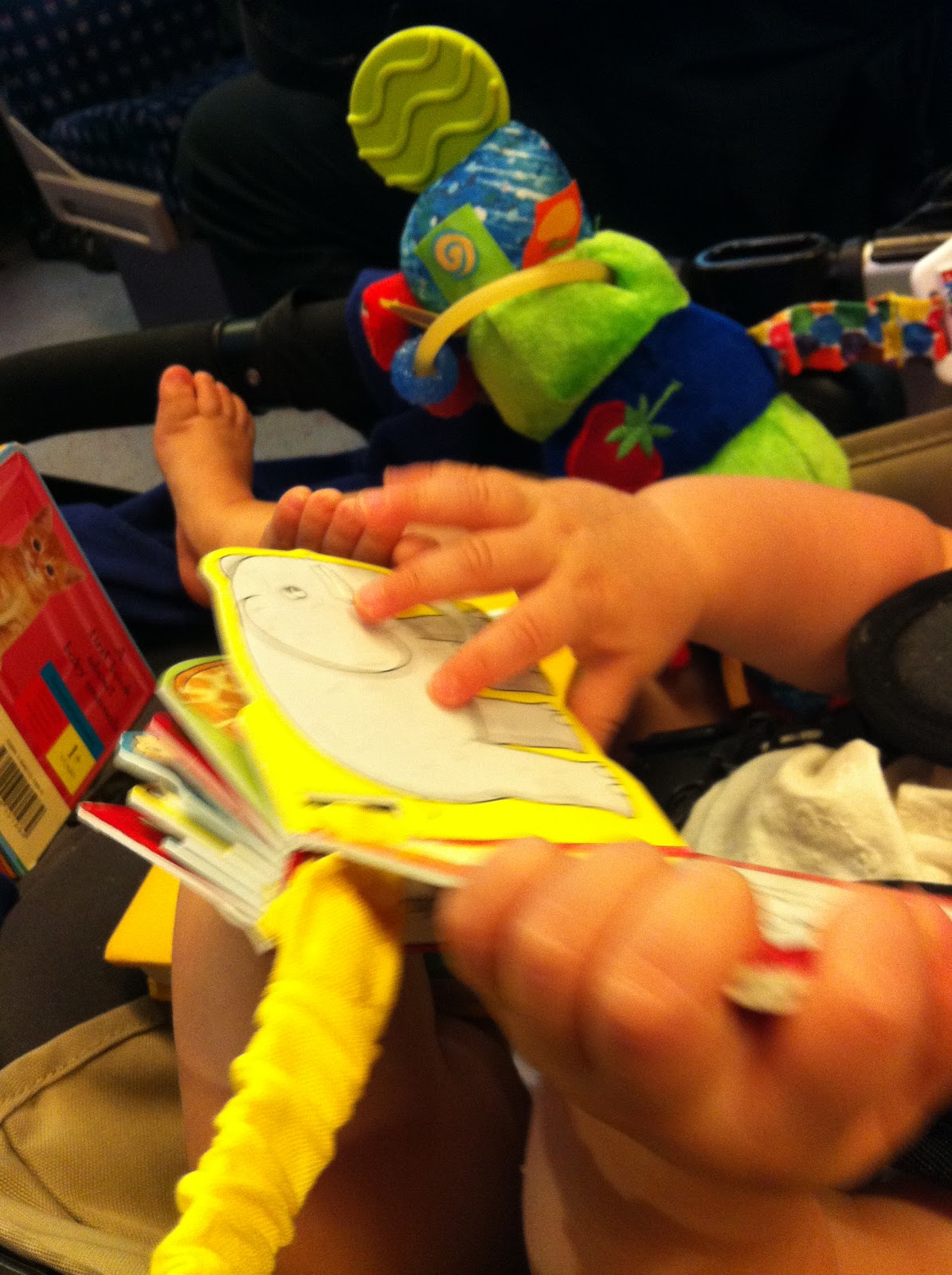 Culture Baby: Happy Birthday Dear Zoo!