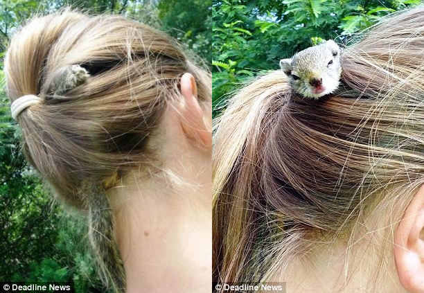 Girl lets a squirrel live in her hair(Photos) | This Is Miss Petite ...