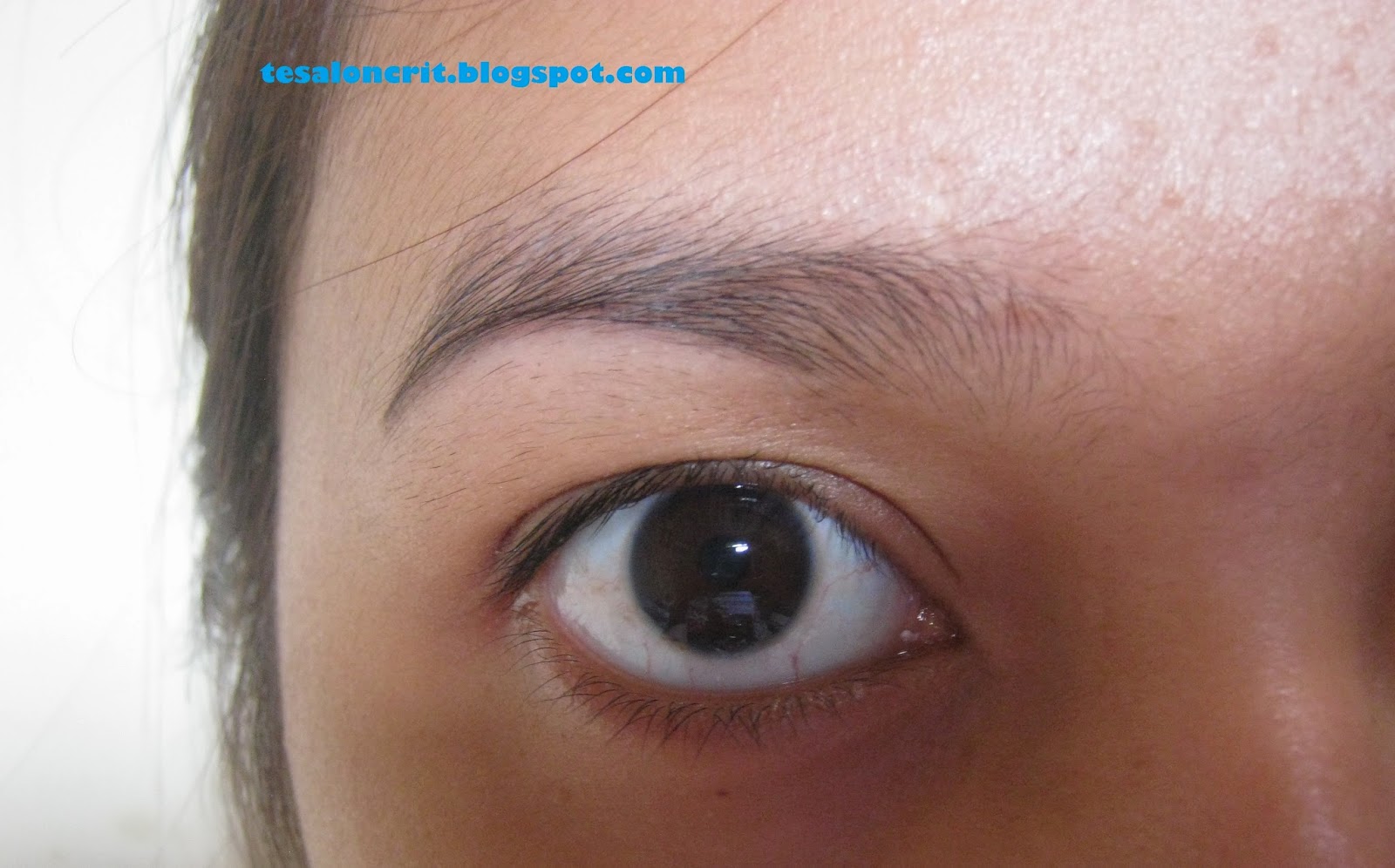 Tesaloncrit : Nike Tesalonica : Brow Tutorial ~ using Nyx Eyebrow Cake ...