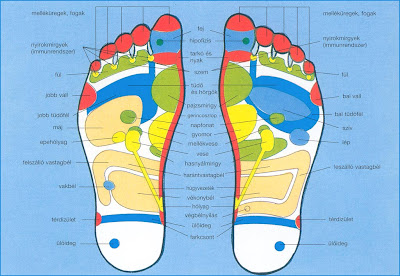 Természetes egészség : Reflexológia