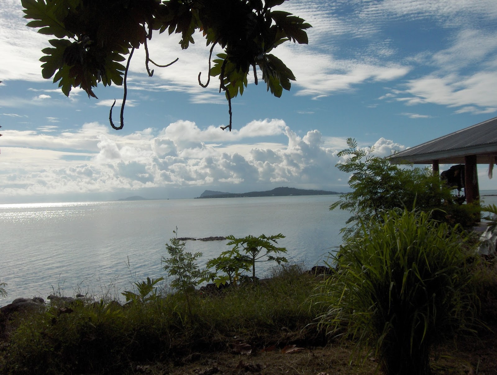 Samoa Revisited: Lupe Ieremia and The Village of Falelatai