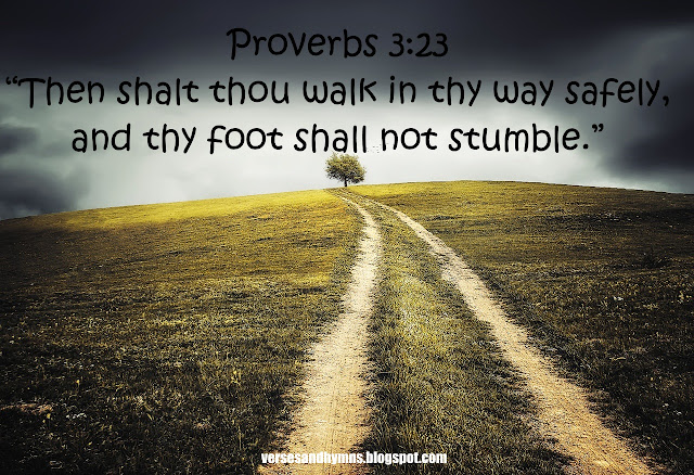 Daily verse November 12, 2017 - Proverbs 3:23