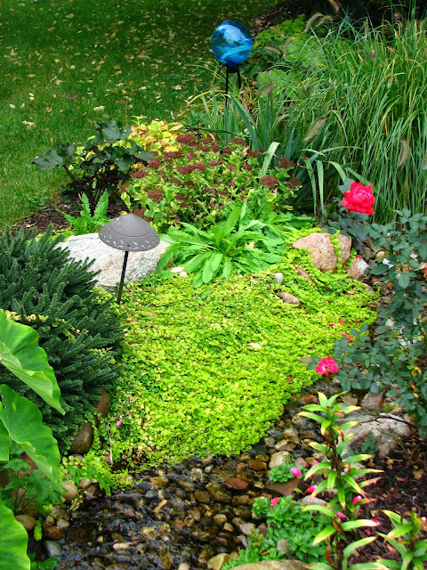 Mermaid At Frog Hollow: Tip toeing with Tootsie Oct 4th