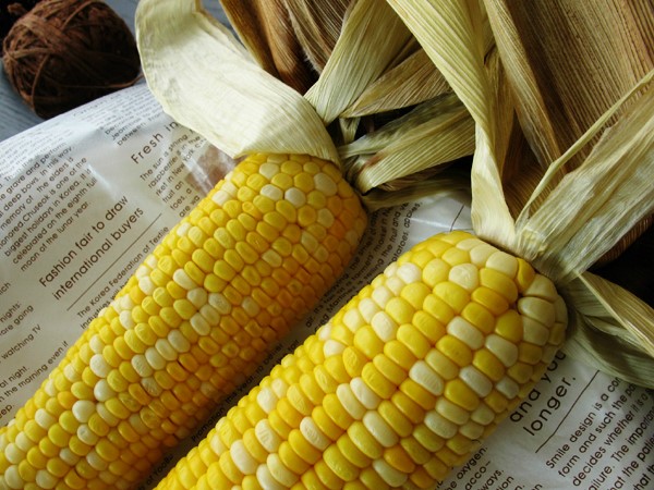 Cochimochi's Kitchen: Hornear elotes junto con hojas y pelo - riquísimo ...