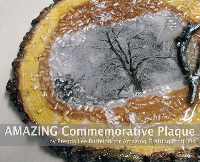 Amazing Casting Products: What an AMAZING Ice Storm! Commemorative ...