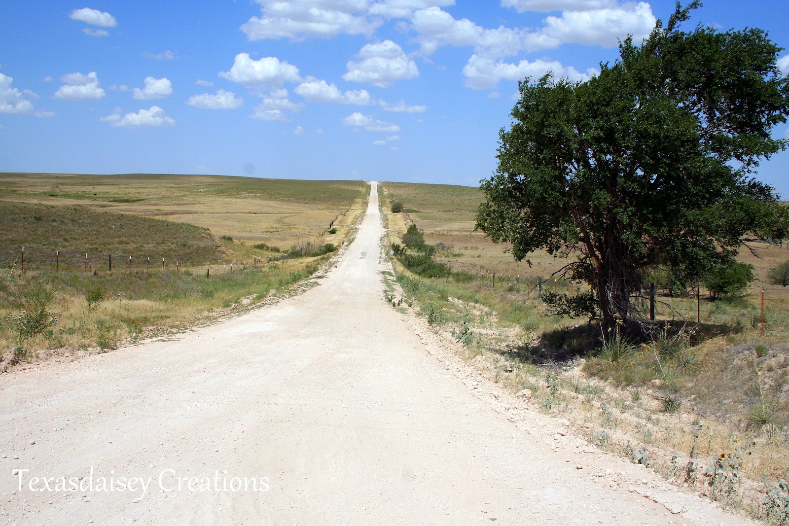 Texasdaisey Creations: Home on the Range