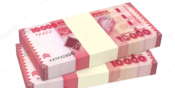 MAISHA NA MAFANIKIO: USITAFUTE PESA TAFUTA FURAHA