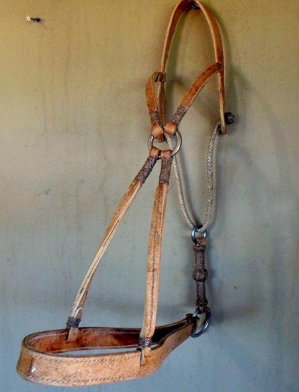 EL TRENZADOR - Blog sobre soguería criolla: Bonito y Sencillo Bosal de ...