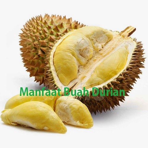 Khasiat Buah Durian Kuning untuk Kesehatan - kesehatanpedia