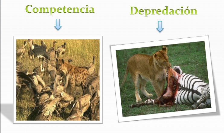 "Conociblog": mayo 2015