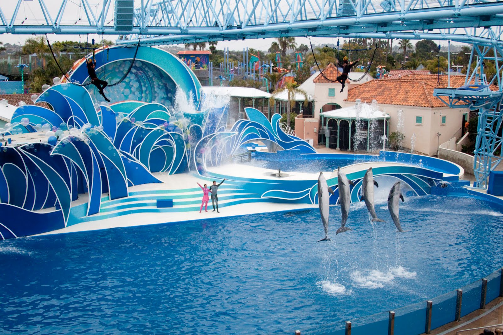 My Musings: From Sea World to Tide Pools