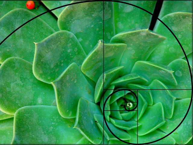 Aprendiendo 3 veces: Sucesión de Fibonacci