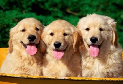 Textos Cortos Para Pensar y Cuentos Cortos Populares