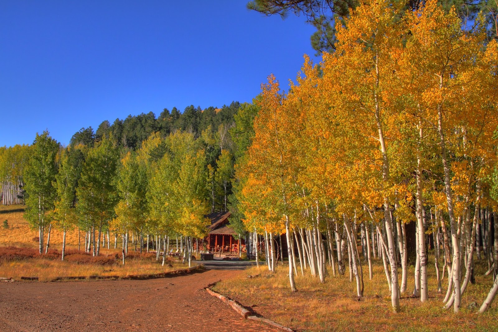 Flagstaff to Grand Canyon Stagecoach Line 100 Mile Ultra and Relay ...