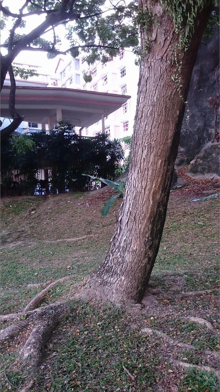 PROJECT 2: NATURAL & MAN-MADE STRUCTURES