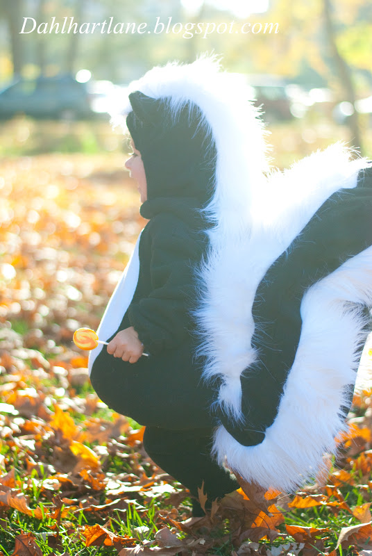 Dahlhart Lane: Skunk Costume