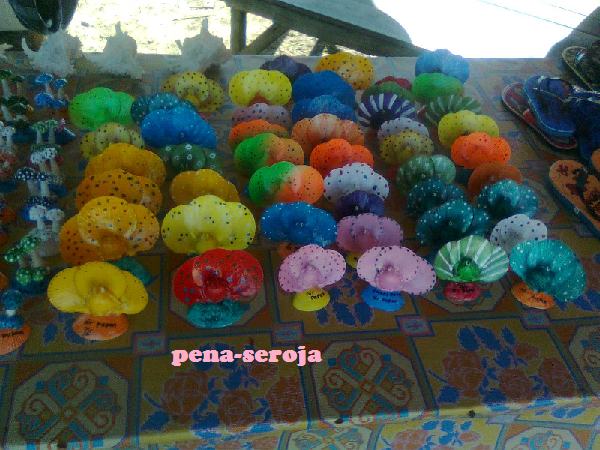 Pena Seroja: LAGI HASIL KRAF DARI CENGKERANG LAUT