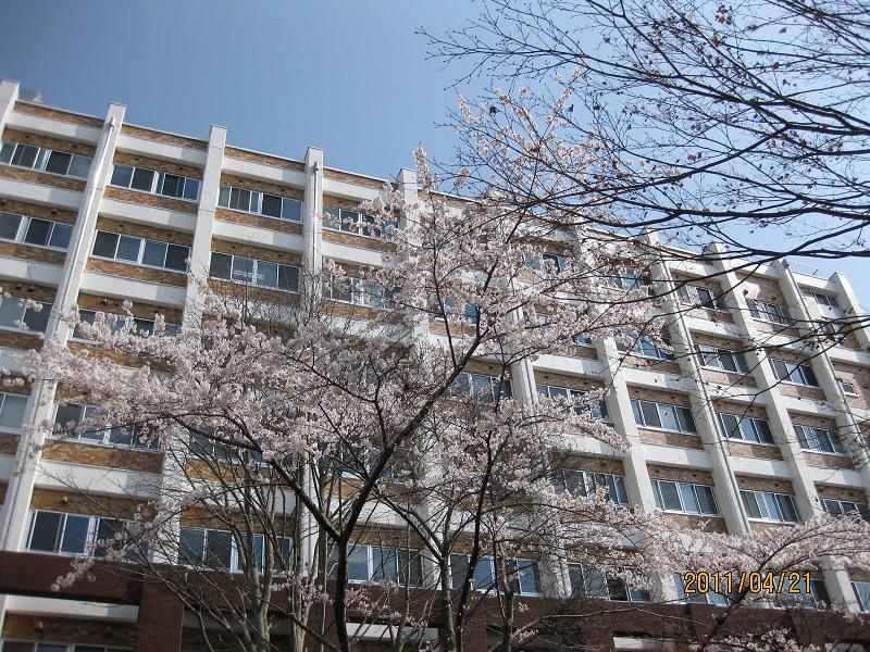 Tohoku University | World Public University Information